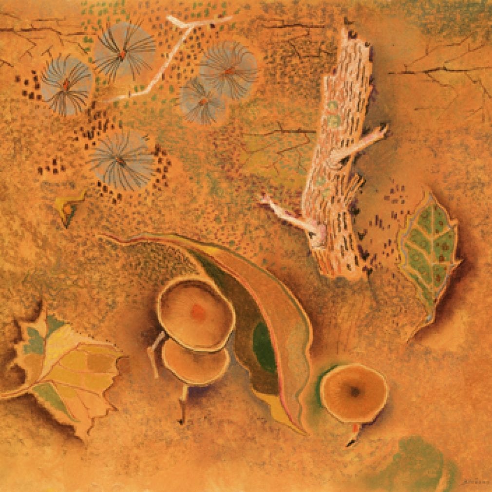 Sheldon Scott - Ogden Museum of Southern Art