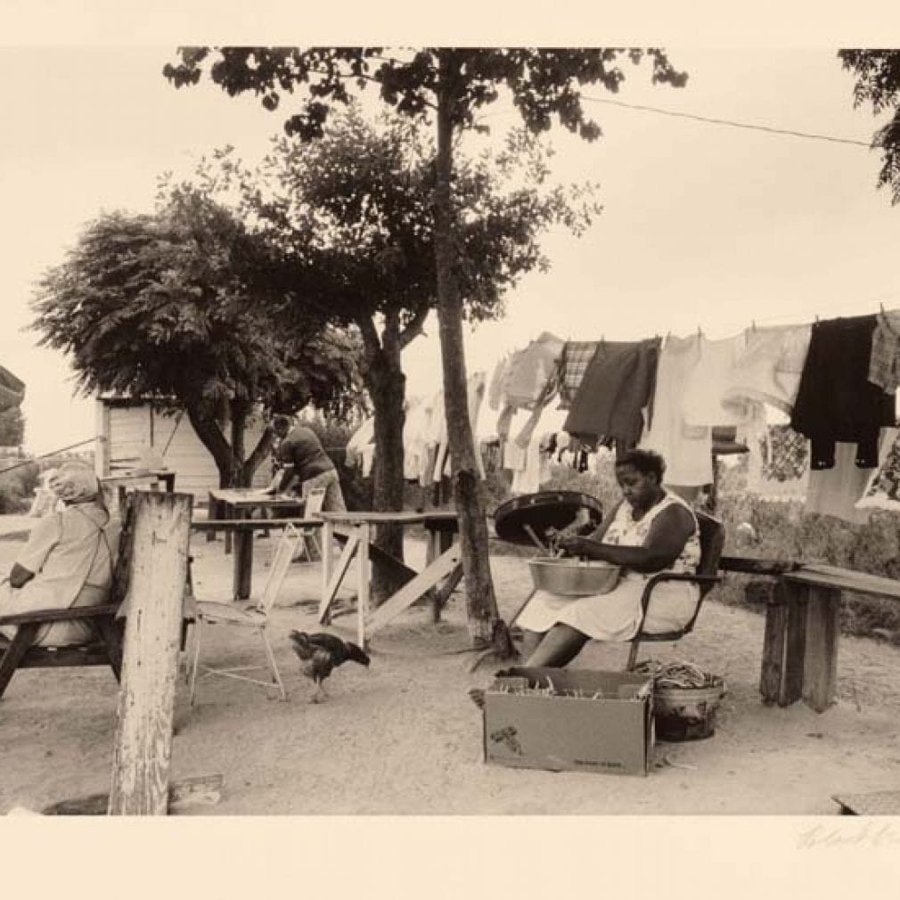 Sheldon Scott - Ogden Museum of Southern Art