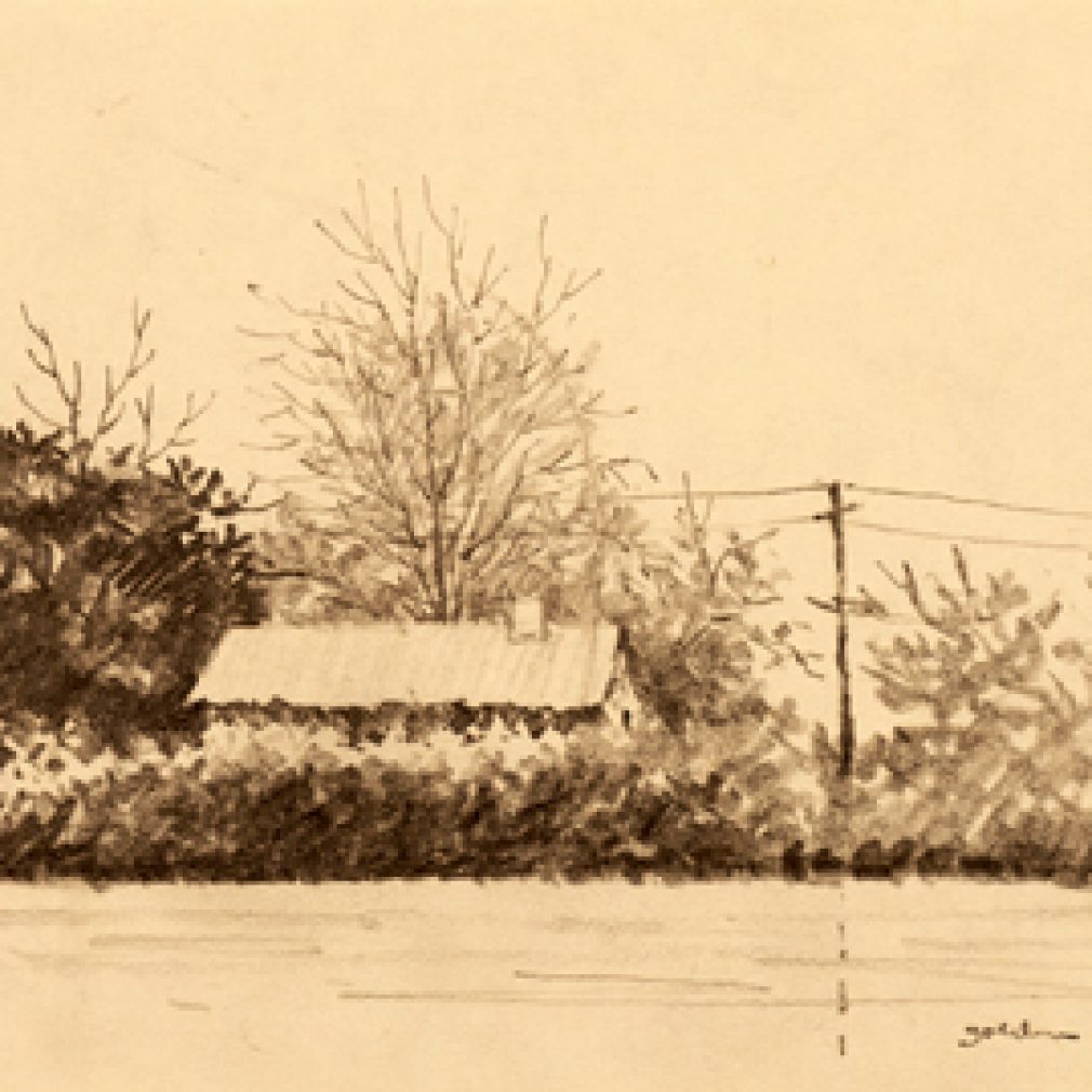 Artist Workshops - Ogden Museum of Southern Art