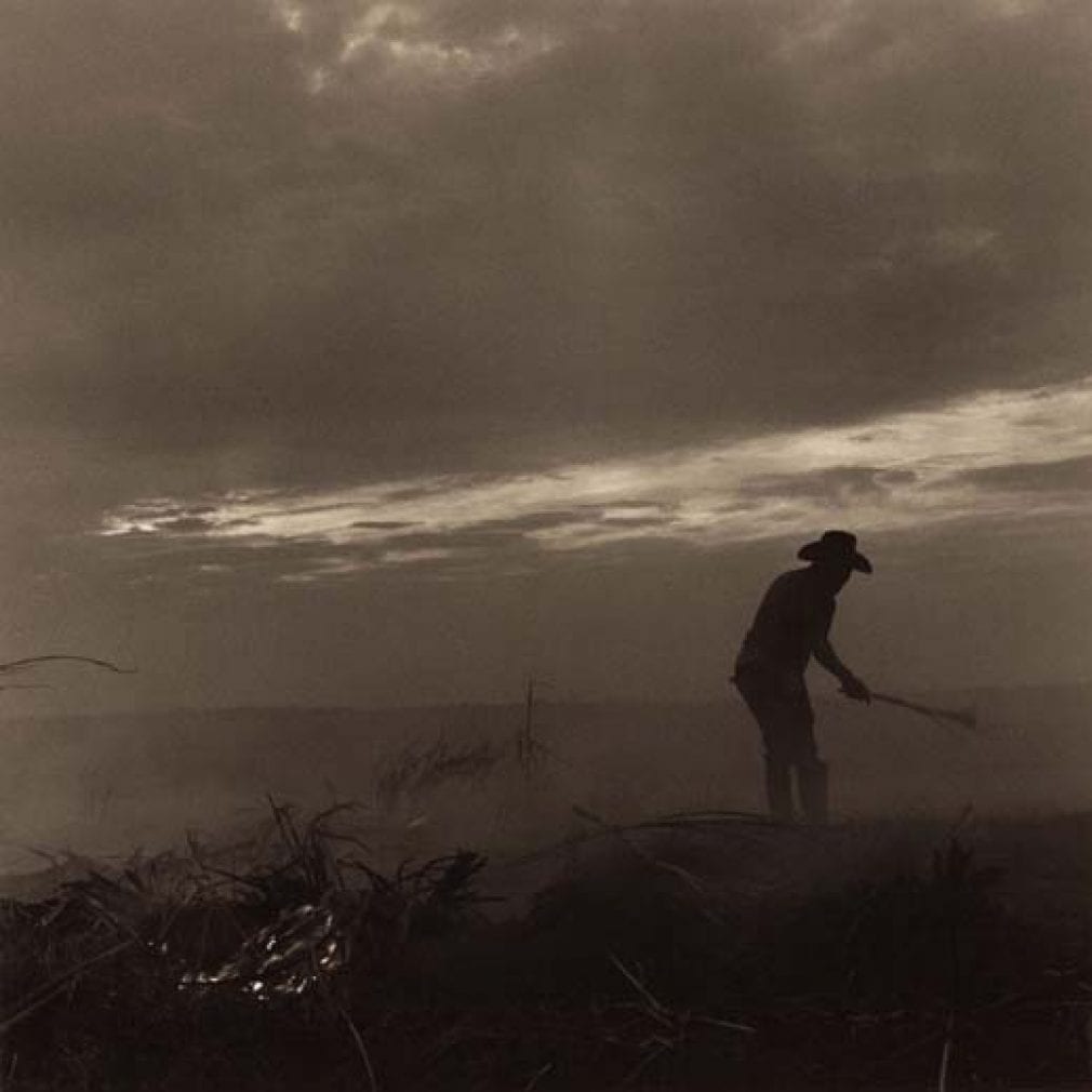 Sheldon Scott - Ogden Museum of Southern Art