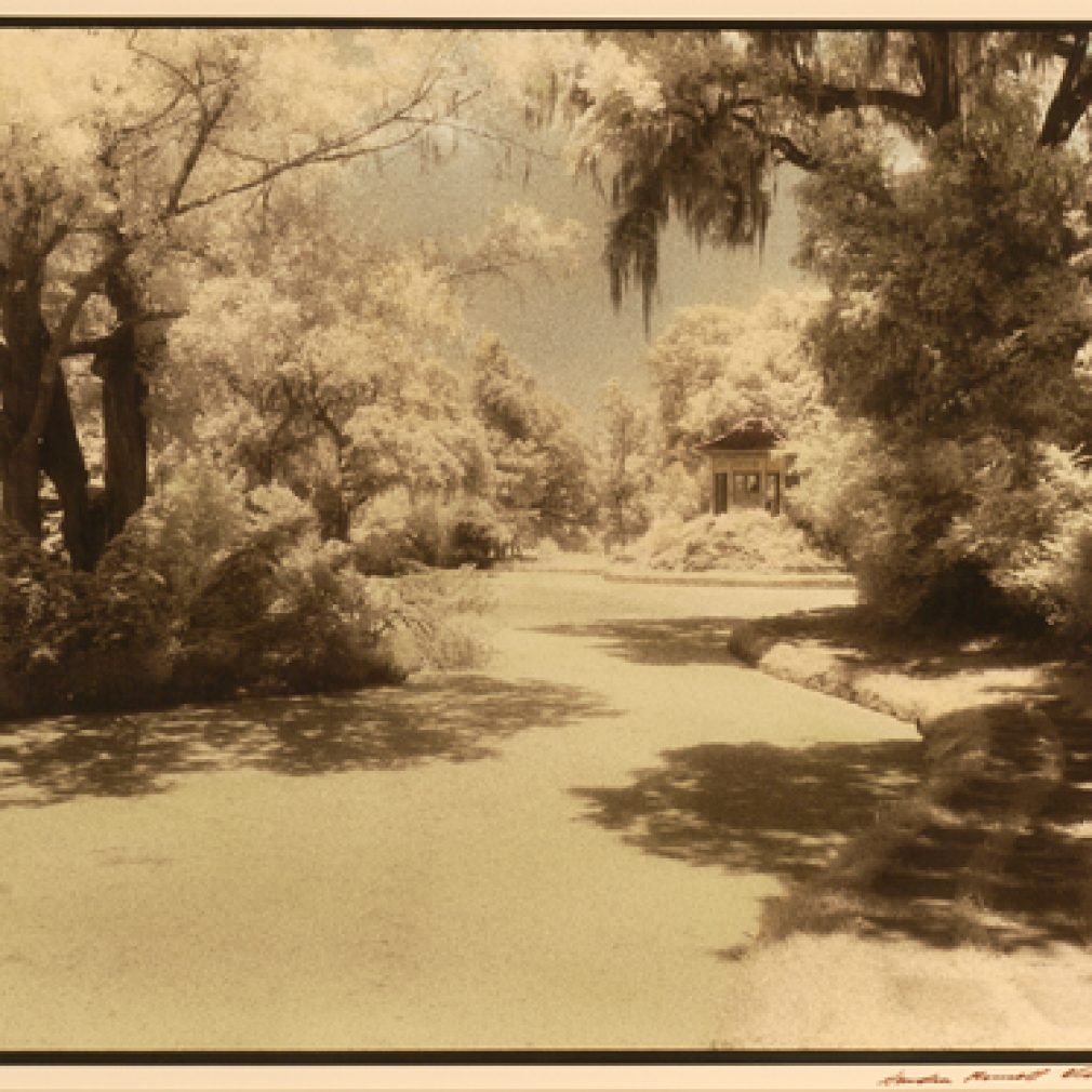Sheldon Scott - Ogden Museum of Southern Art