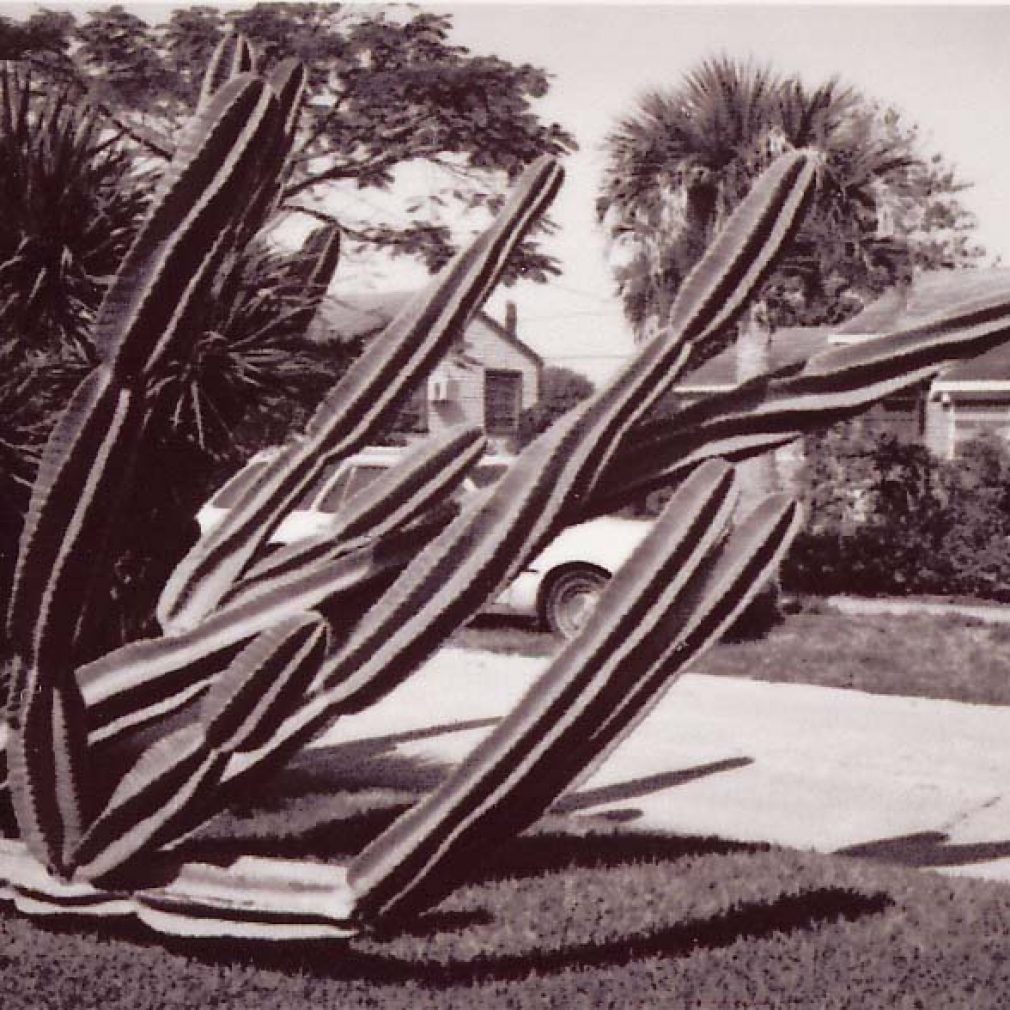 Sheldon Scott - Ogden Museum of Southern Art