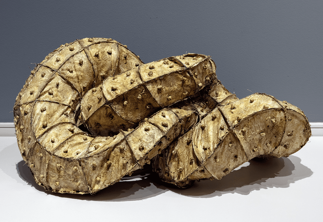 “Entwined” Exhibition - Ogden Museum of Southern Art