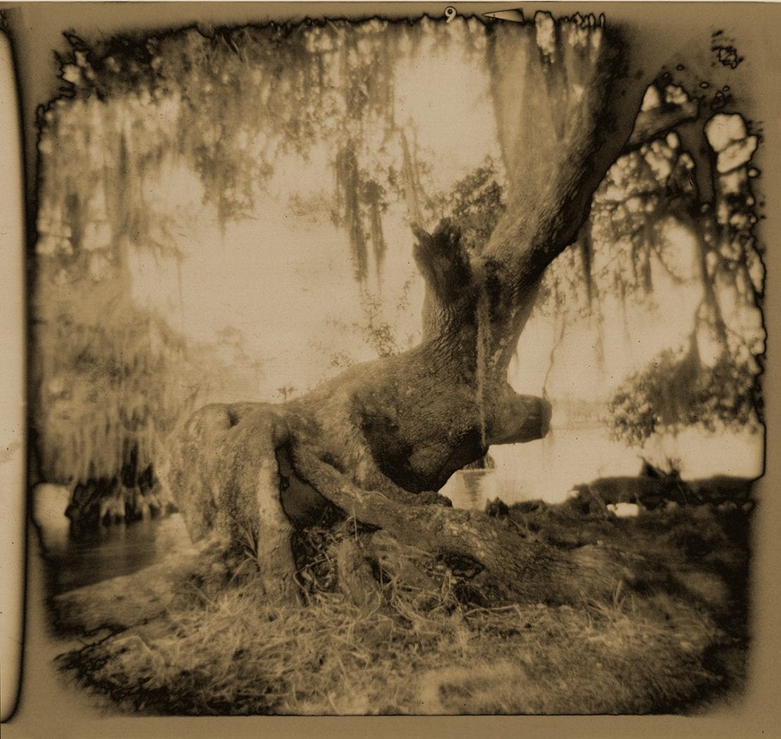 O What a Night! Sneak Peek II - Ogden Museum of Southern Art