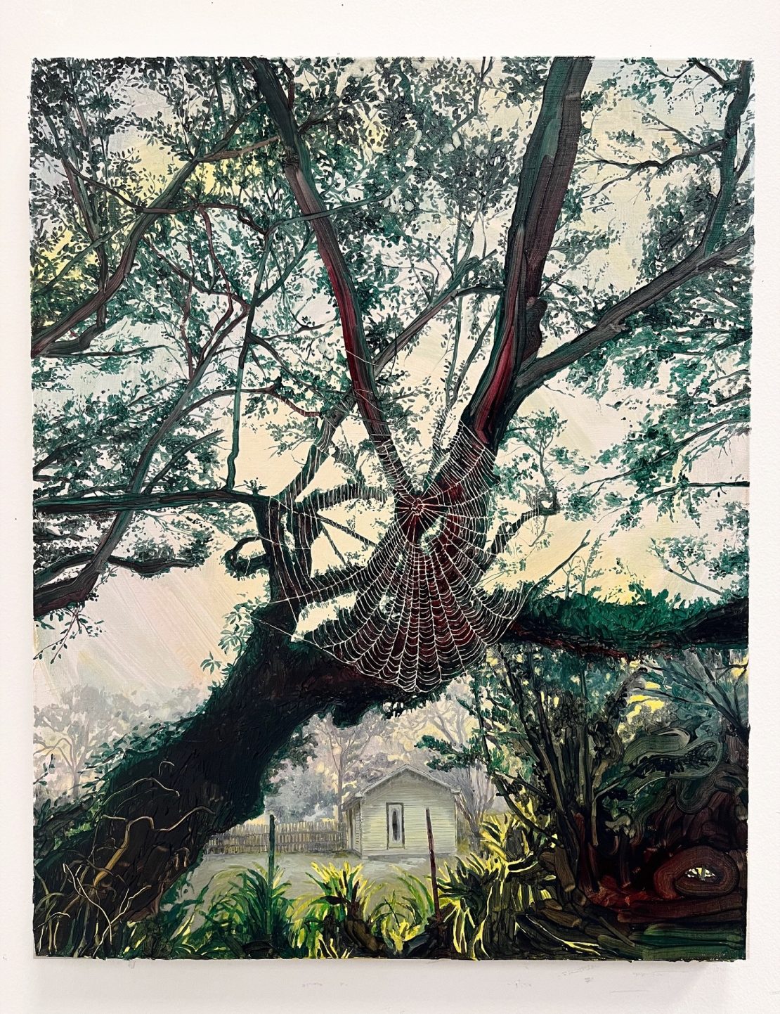 DeVris_Spider Web - Ogden Museum of Southern Art