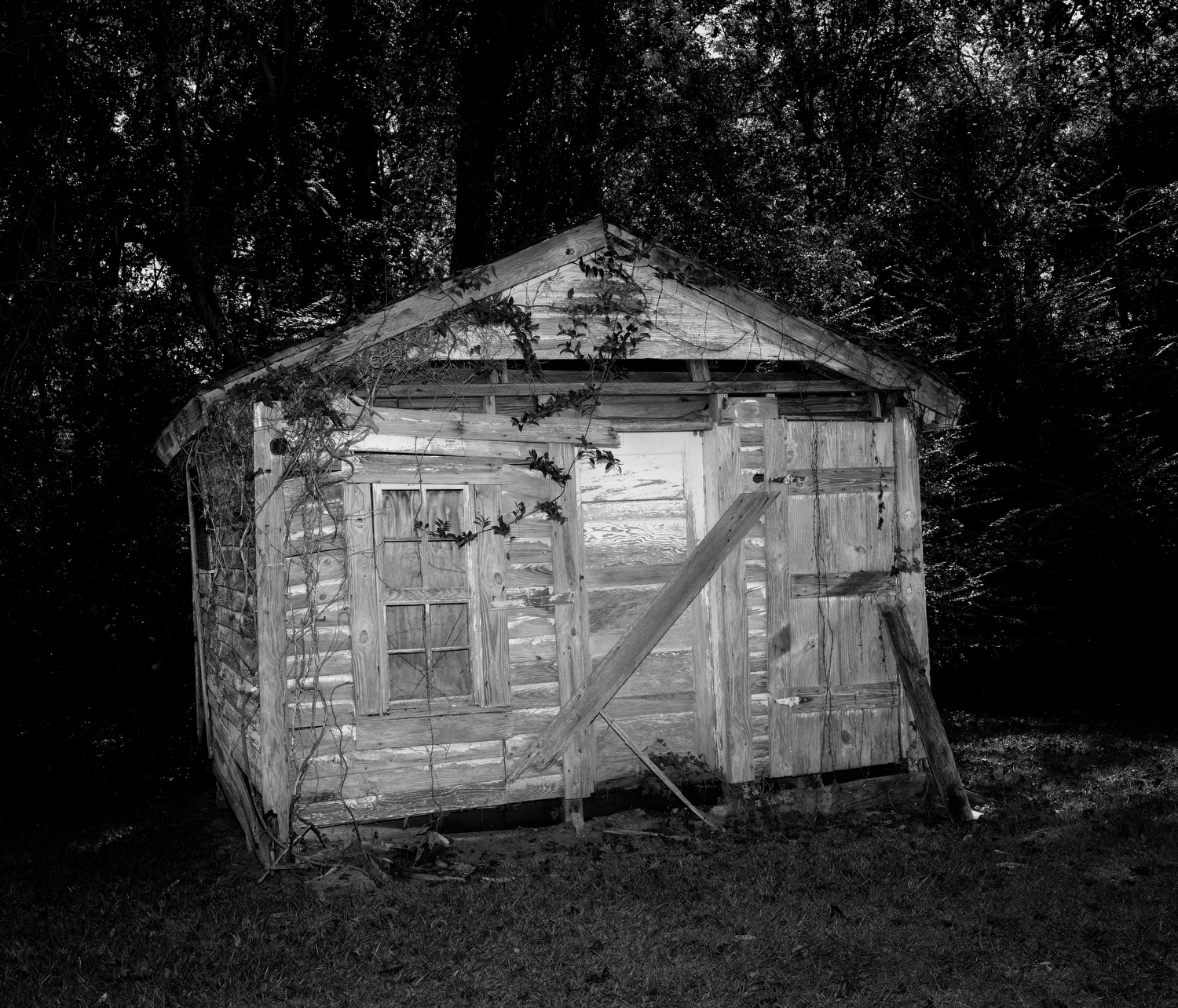 Ragland_Perry County, Ala — Birthplace of Coretta Scott King - Ogden ...